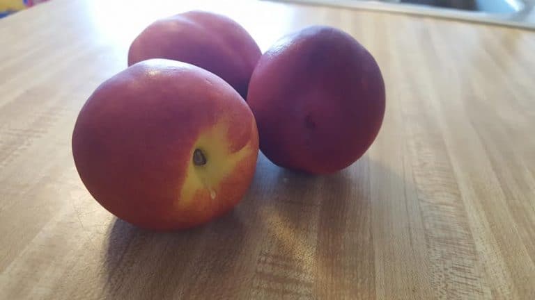 5 Snacks For Kids That Start With The Letter N