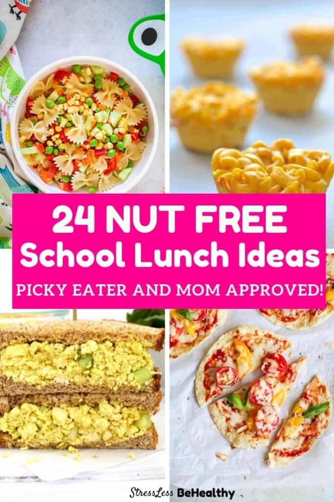 24 Nut Free & Vegan School Lunch Ideas (Updated 2020)