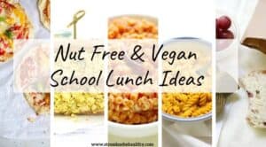 24 Nut Free & Vegan School Lunch Ideas (Updated 2020)