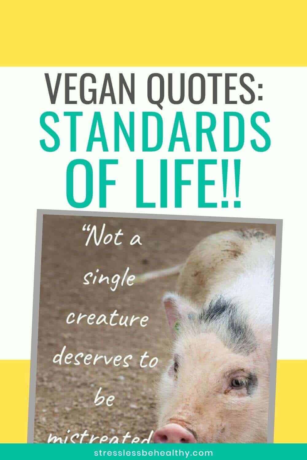 115 Vegan Quotes: For Health, the Planet, & the Animals!