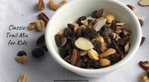 Classic Trail Mix Recipe | Healthy Vegan Snacks for Kids!!