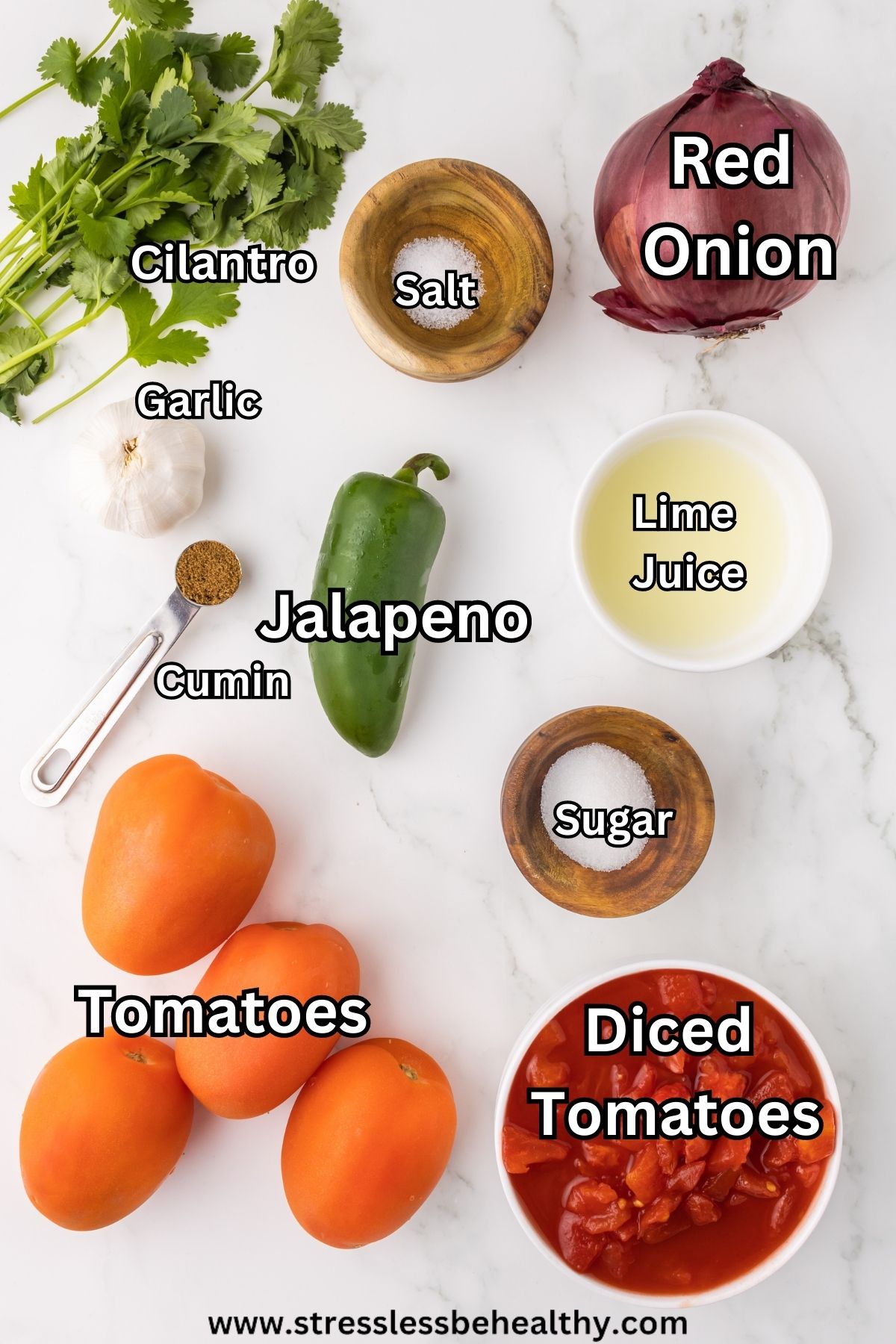 Homemade Salsa (oil free & vegan)
